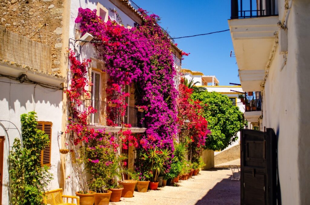 Discover the Ultimate Ibiza Weekend Escapade: Must-See Spots – Islander ...